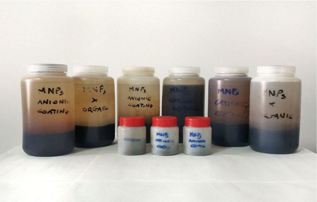 THE FIRST BATCHES OF THE MAGNETIC NANOPARTICLES | purenano-h2020